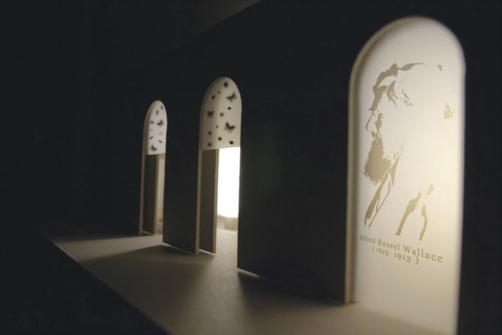 Alfred Wallace Gallery